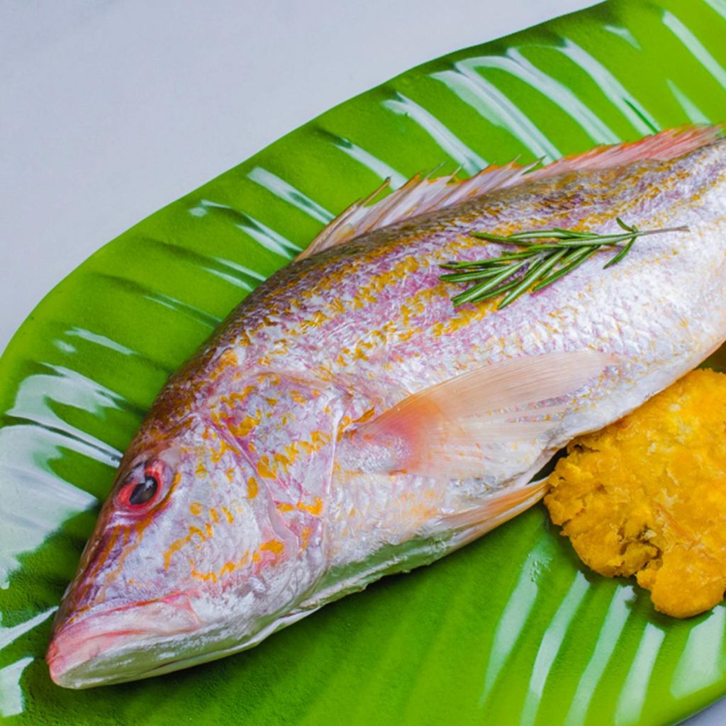 Pargo Rojo Mediano (600 gr a 700 gr) – Domicilios Pesquera Jaramillo